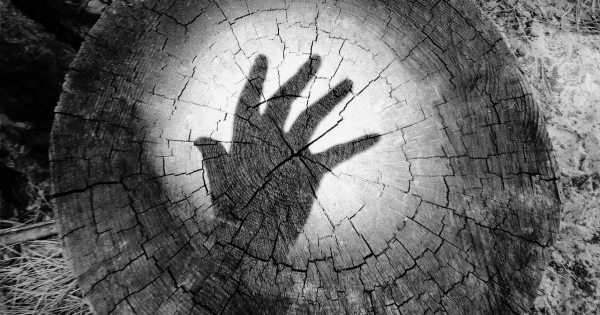 Capetonian Poet | About